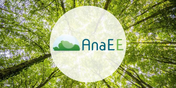 Actualités - PEPR-FORESTT